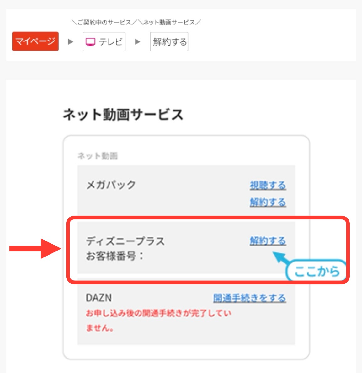 Disney+ (ディズニープラス)の解約方法は？解約できない時の対処法も徹底解説 | シネマトゥデイ VOD比較