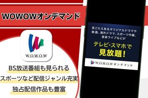 動画配信サービスおすすめランキング！人気VOD33社を徹底比較！ | シネマトゥデイ VOD比較