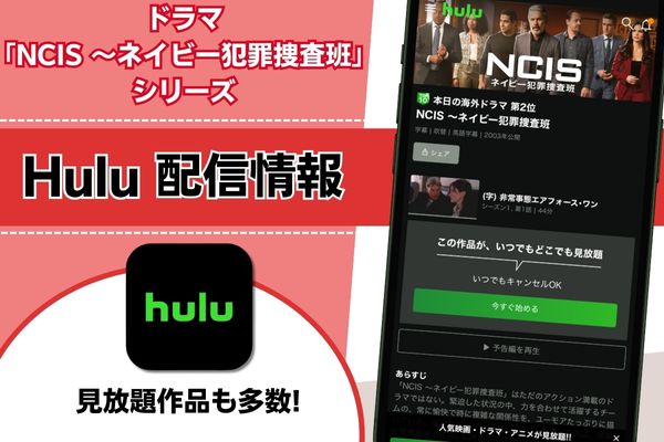 ドラマ「NCIS ～ネイビー犯罪捜査班」シリーズの配信はどこで見れる？無料で見れるサブスク・動画サイトがあるか徹底調査！ | シネマトゥデイ VOD比較